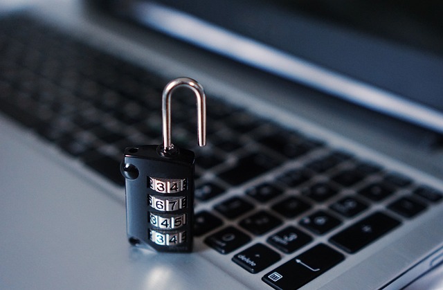 Understanding The Importance Of Cyber Security Insurance